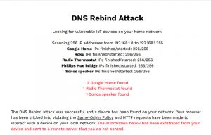 DNS Rebinding Attacks with DNS Rebind Toolkit | CYBERPUNK