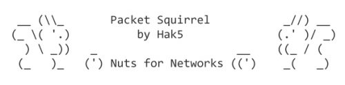 Packet Squirrel [Hak5] | CYBERPUNK
